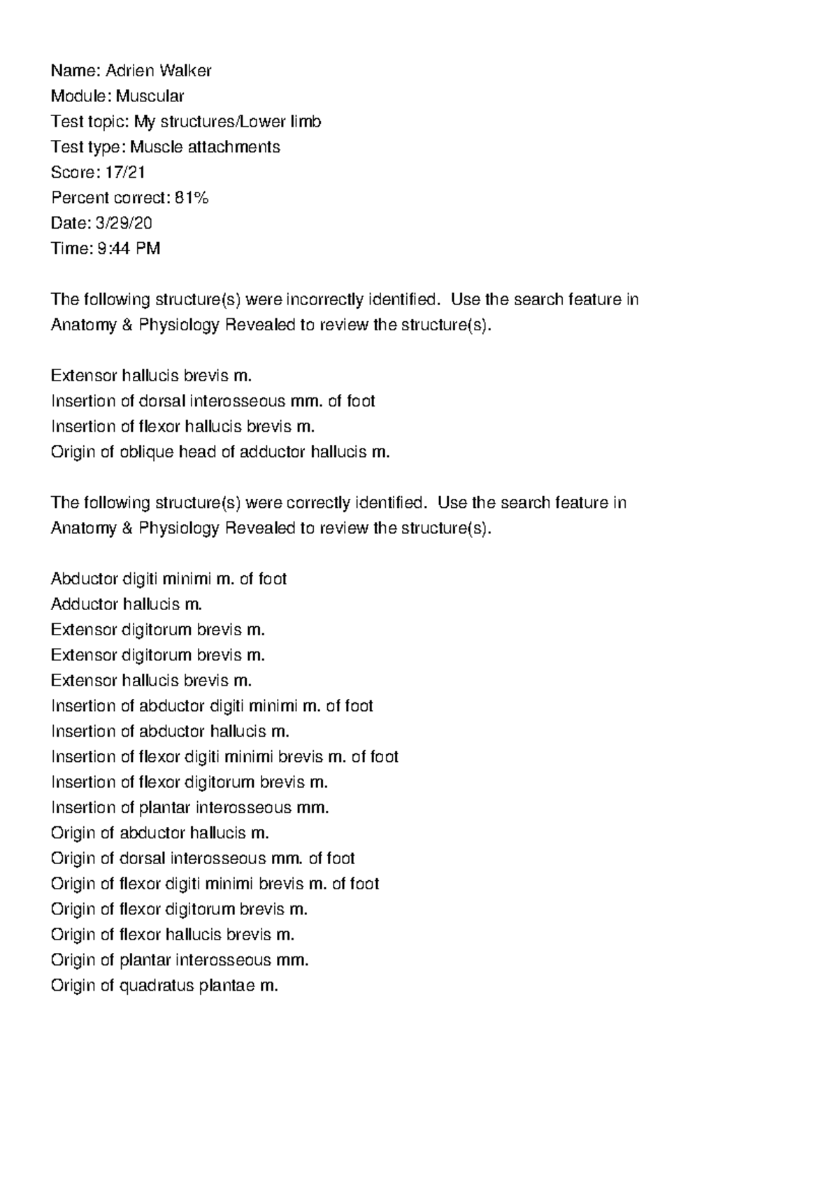 AWFoot Attatchments - Coursework for AP Revealed - Name: Adrien Walker ...