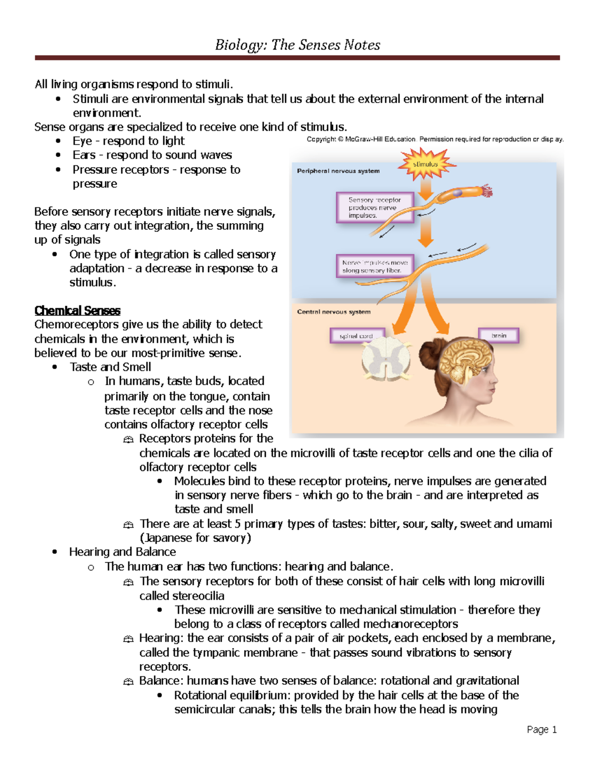 Bio Viruses Prokaryotes Protists and Fungi Test Review - Biology: The ...