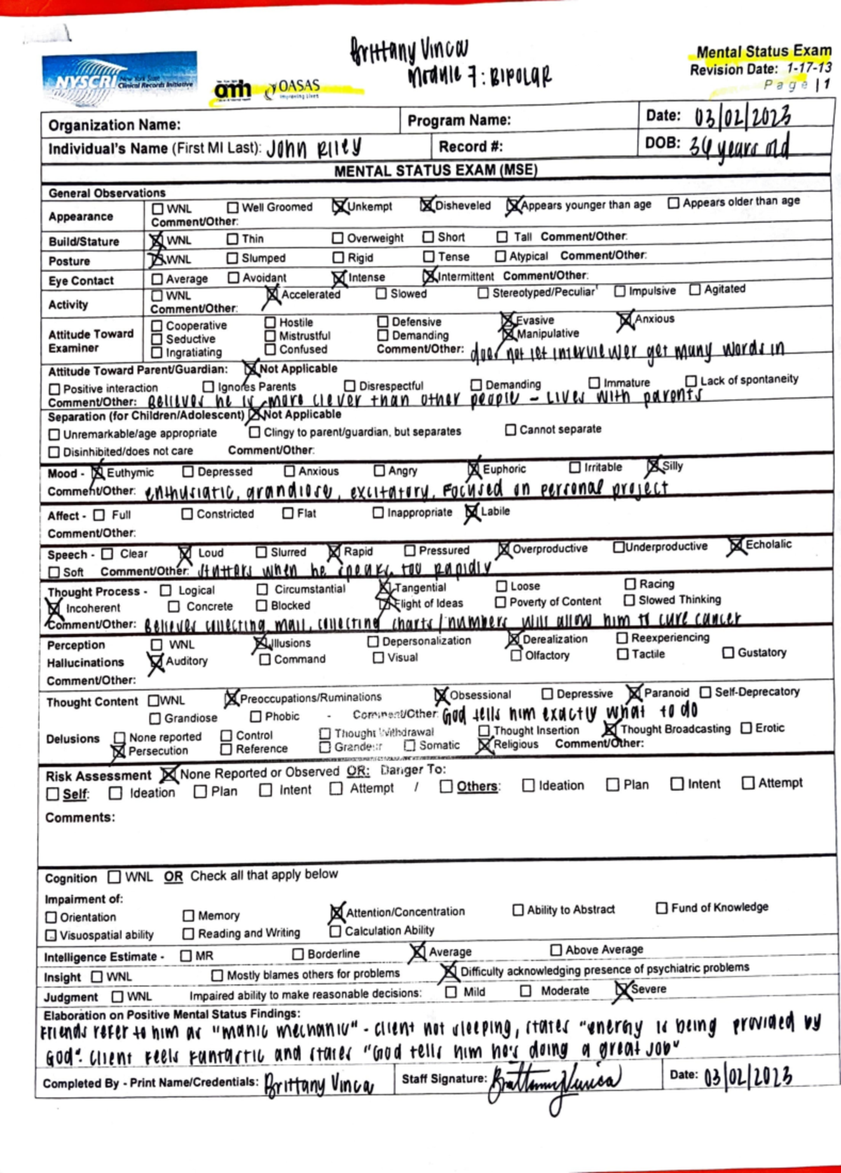 Bipolar MSE - Professor Rawlins - Organization Name: Program Name ...