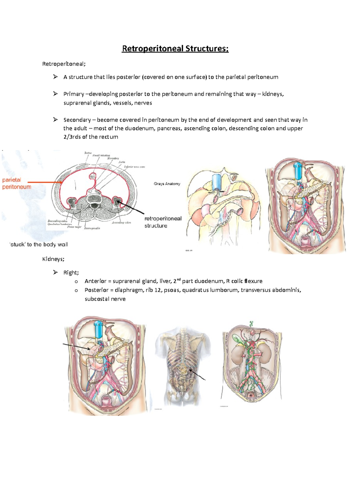 Retroperitoneal - Studocu