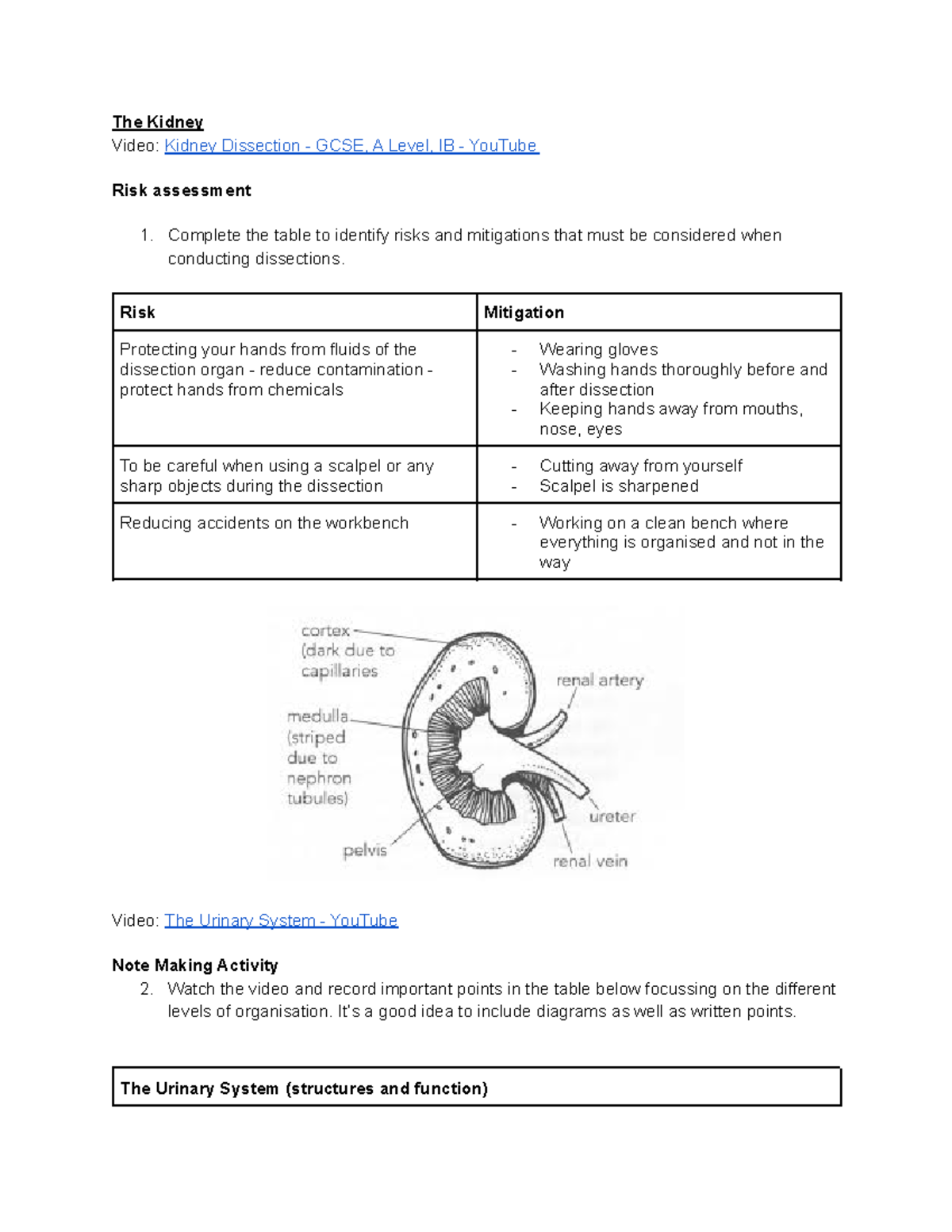 The Kidney function and structure - The Kidney Video:Kidney Dissection - GCSE, A Level, IB ...