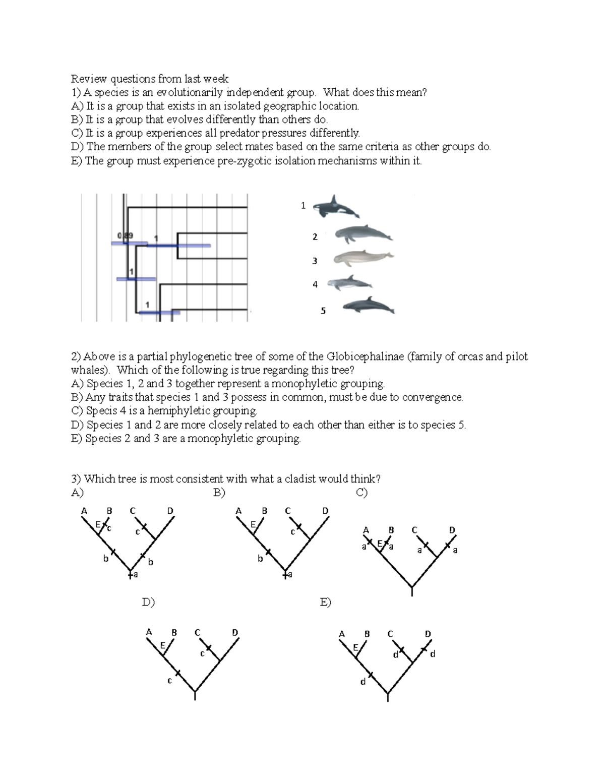 Pre-lecture week 6 practice questions on Species and Speciation and ...