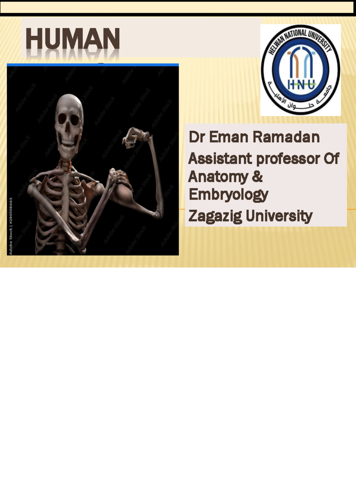 Practical 2 HNU - Summary on lab histology - HUMAN ANATOMY Dr Eman ...