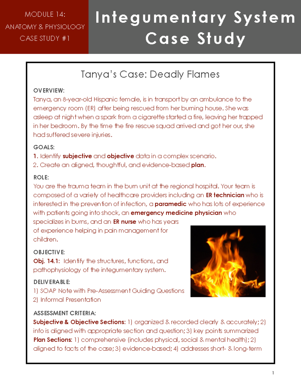 Kami Export - Integumentary System Case Study Project - Deprecated API ...