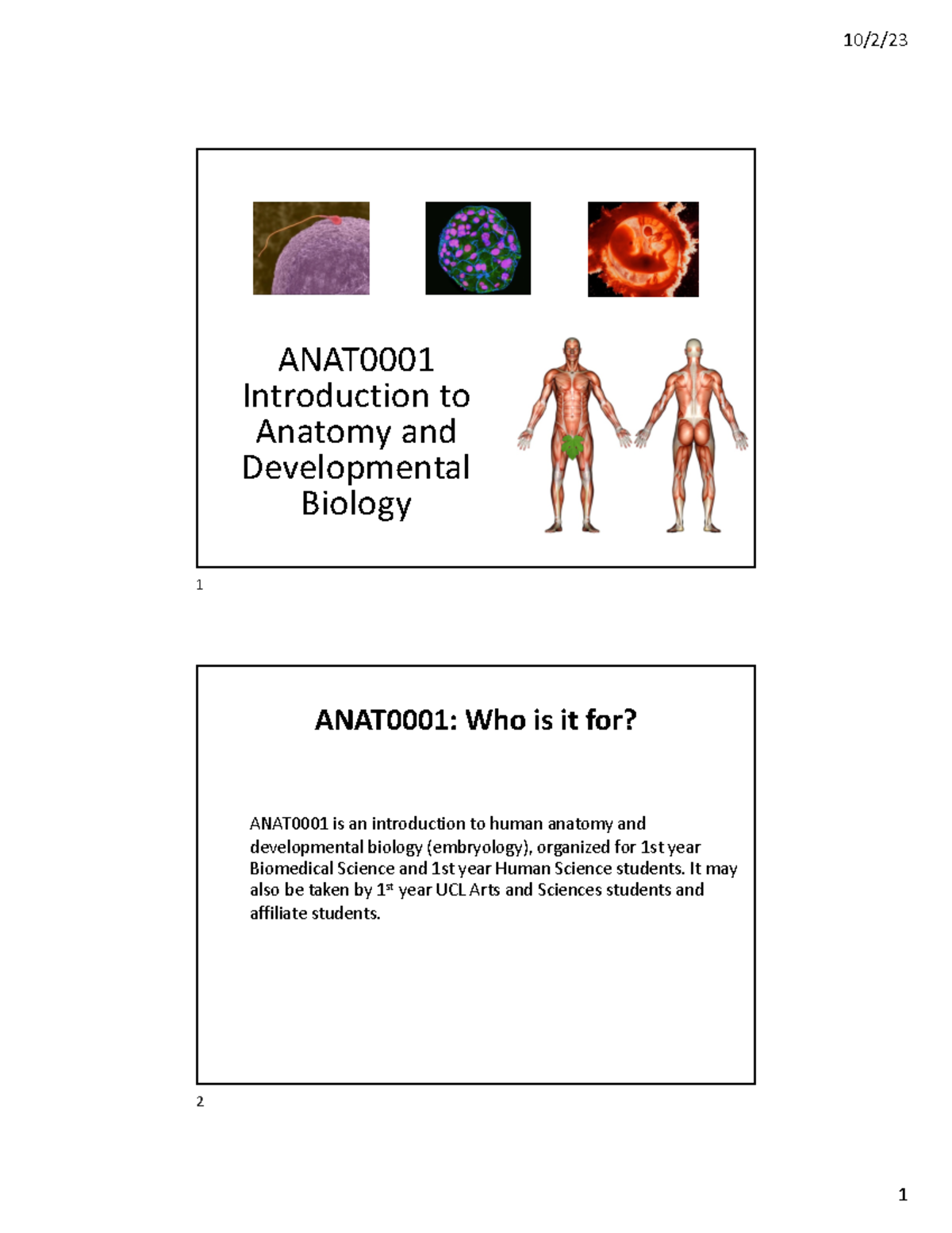 1 intro 23 - lecture material - ANAT Introduction to Anatomy and ...