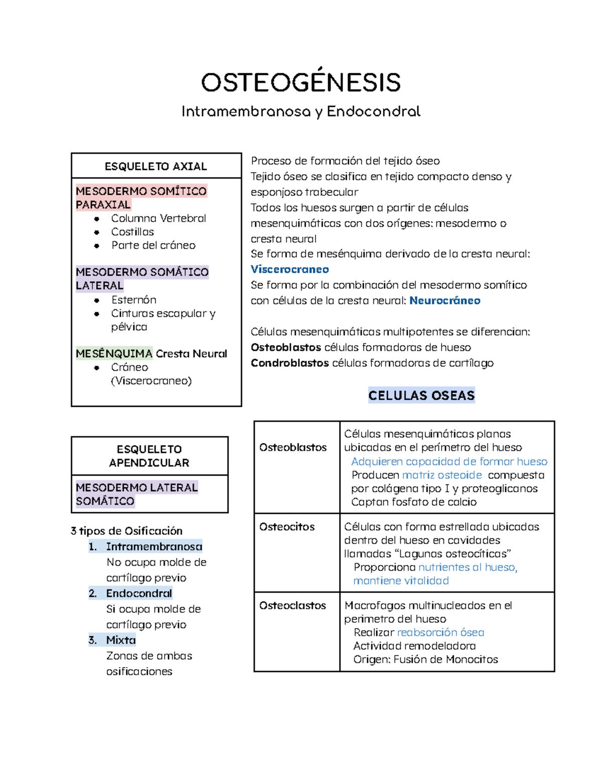 Osteogenesis Apuntes - OSTEOGÉNESIS Intramembranosa y Endocondral ...