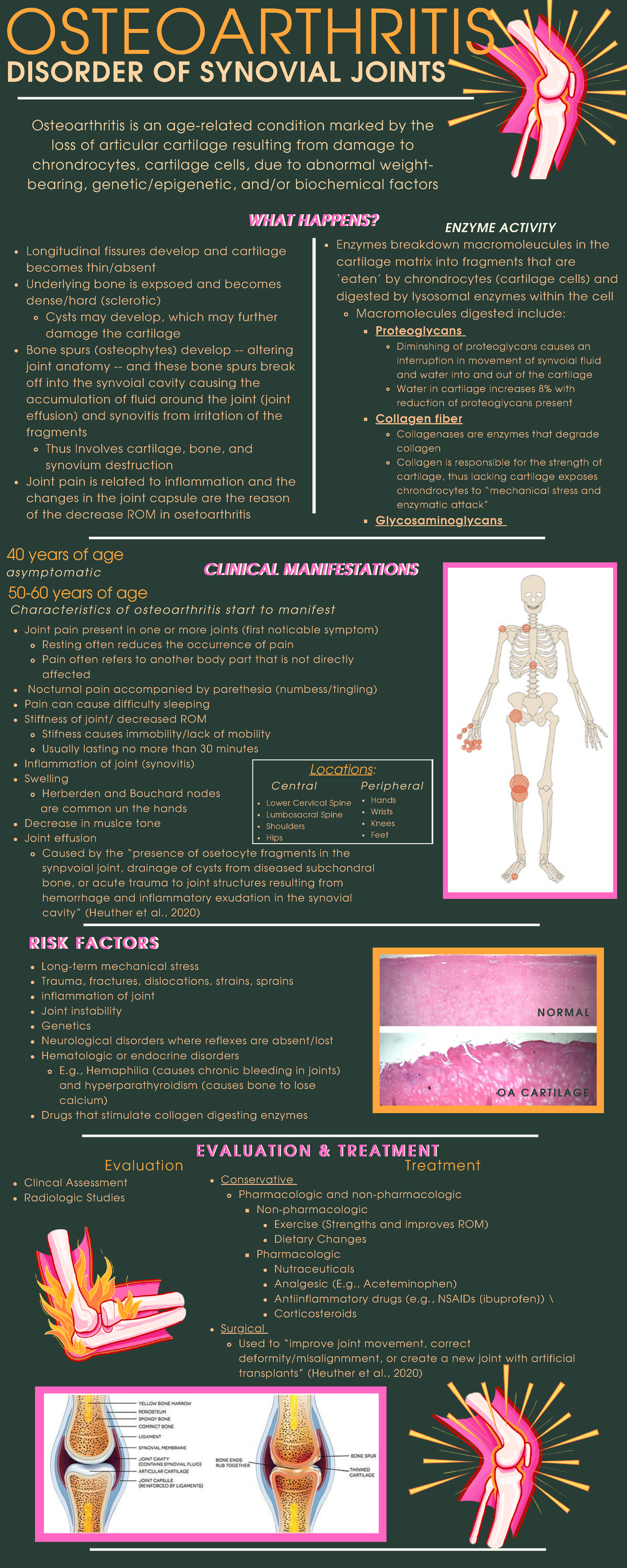 Pathophysiology - Osteoarthritis Week 15 - Joint pain present in one or ...