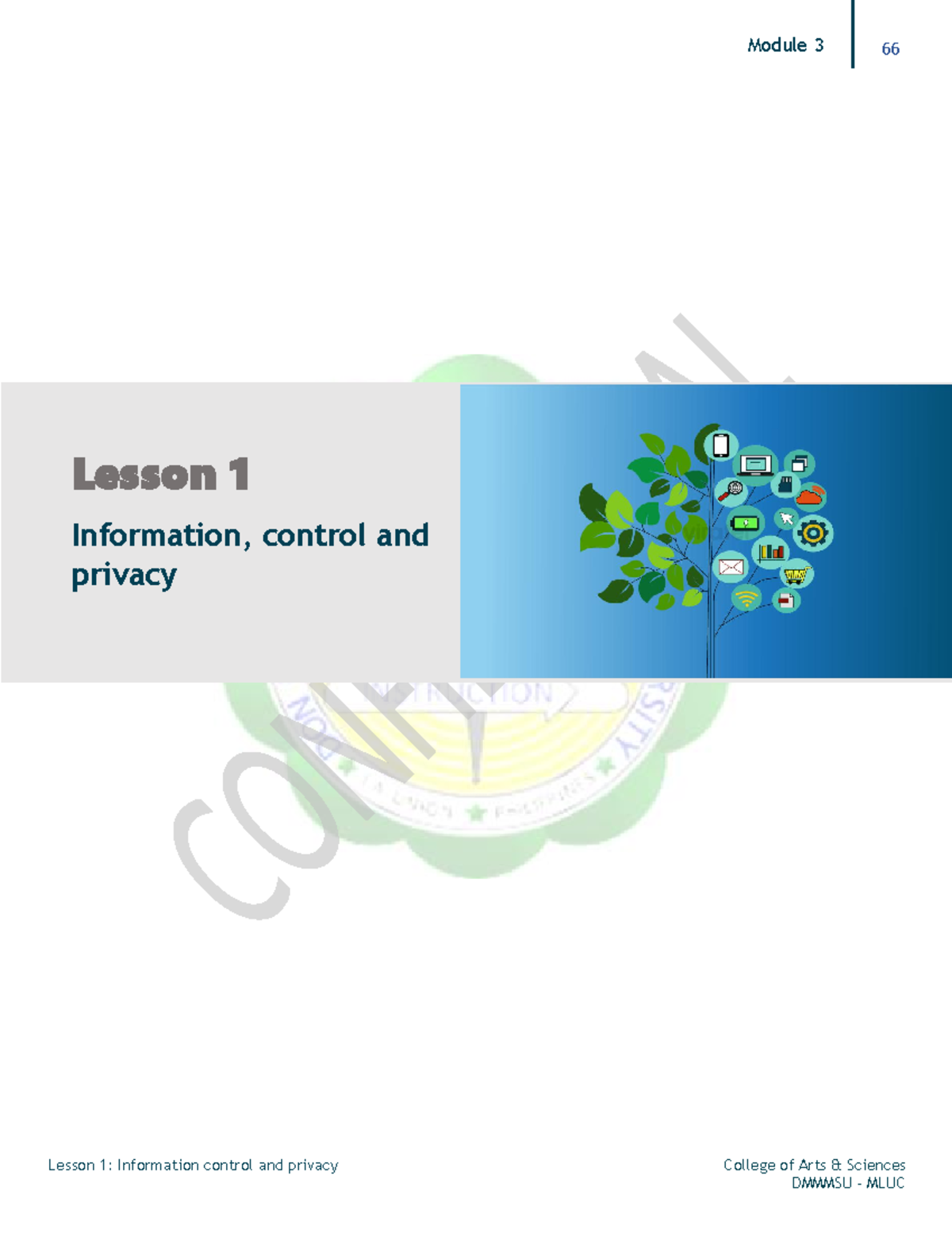 IT Era Lesson 1 M3-1 - College of Arts & Sciences Lesson 1: Information ...