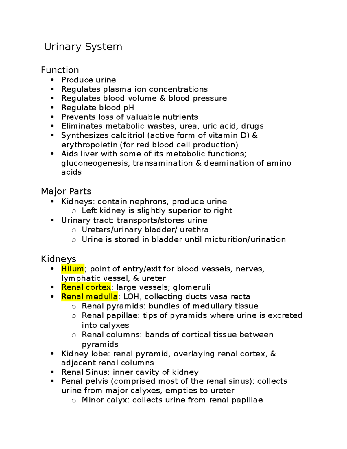 Human Anatomy Chapter 26 Notes - Urinary System Function Produce urine ...
