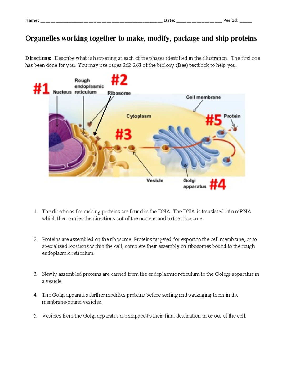 Cell Protein Factory Key - Name ...