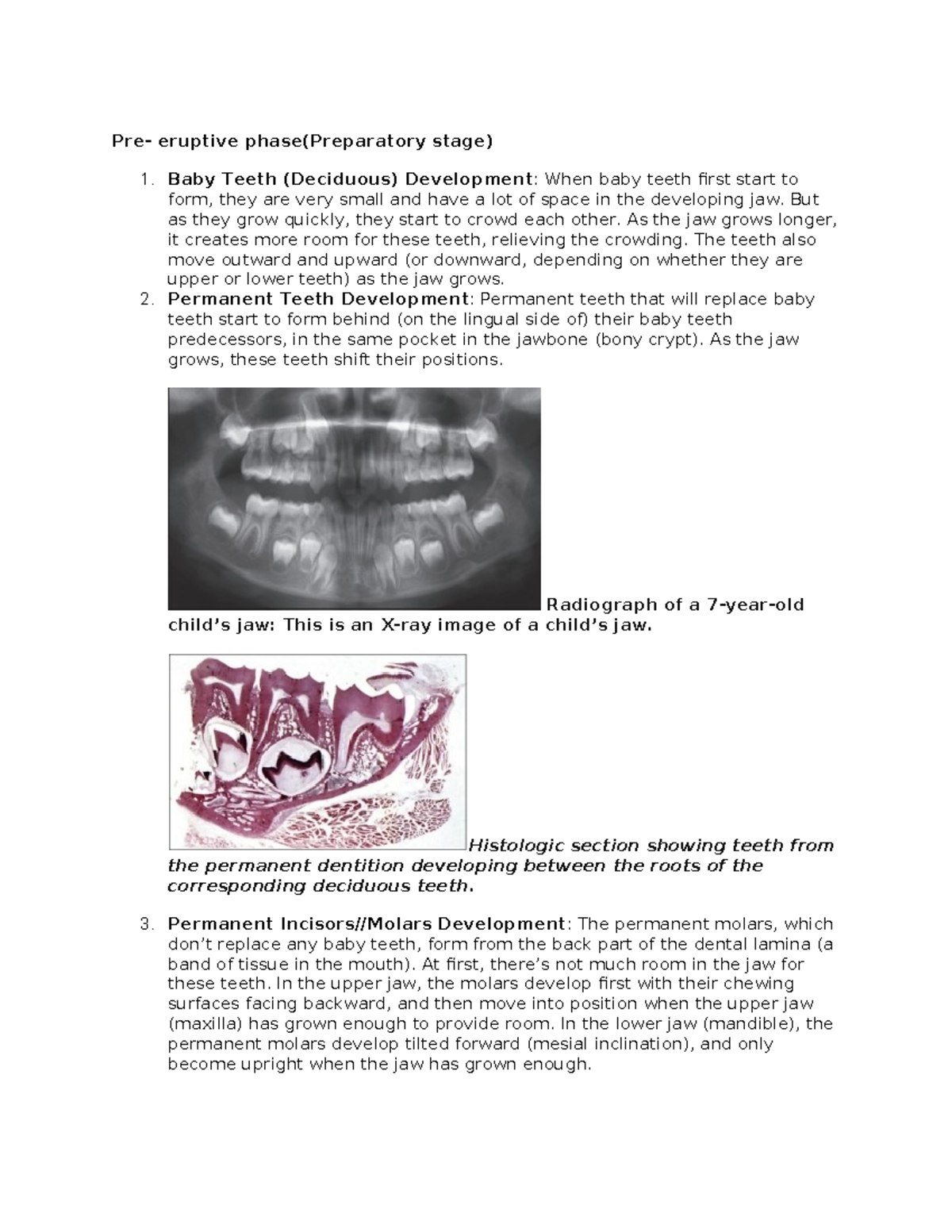 Phases of the Tooth Handout - Pre- eruptive phase(Preparatory stage) 1 ...