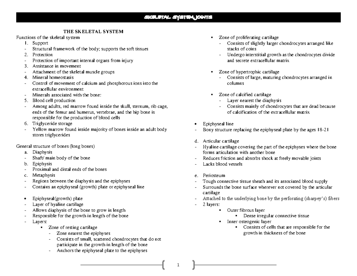 Post lab Skeletal System Joints - THE SKELETAL SYSTEM Functions of the ...