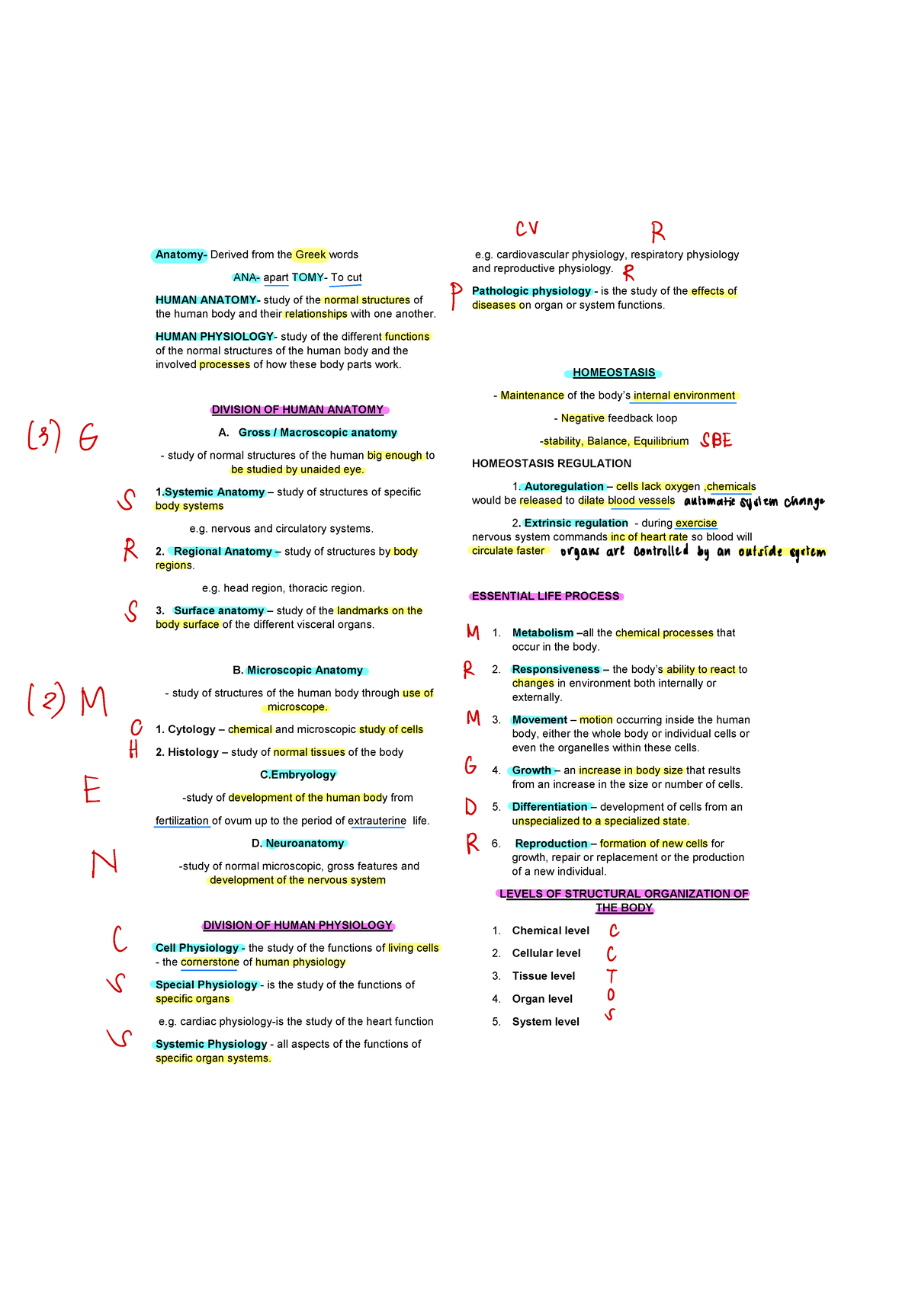 Anaphy Reviewer - Anatomy- Derived from the Greek words ANA- apart TOMY ...