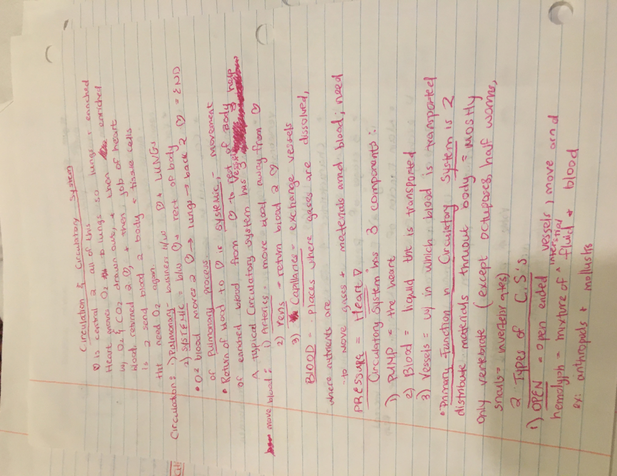 Bio2-7 New - Lecture notes 7 - circulation Circulatory system v is ...