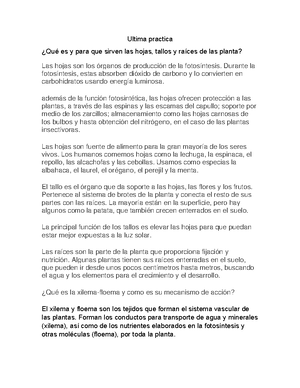 P1- Practica 2 Reproducción Asexual- Biología II - Práctica 2 Reproducción asexual [Subtítulo ...