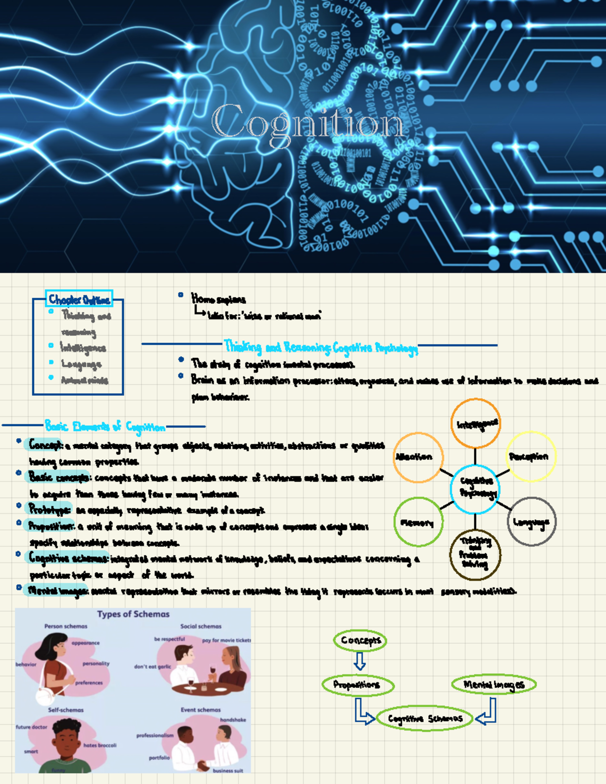 Psychology - Cognition - Cognition Chapter Outline Homo sapiens ...