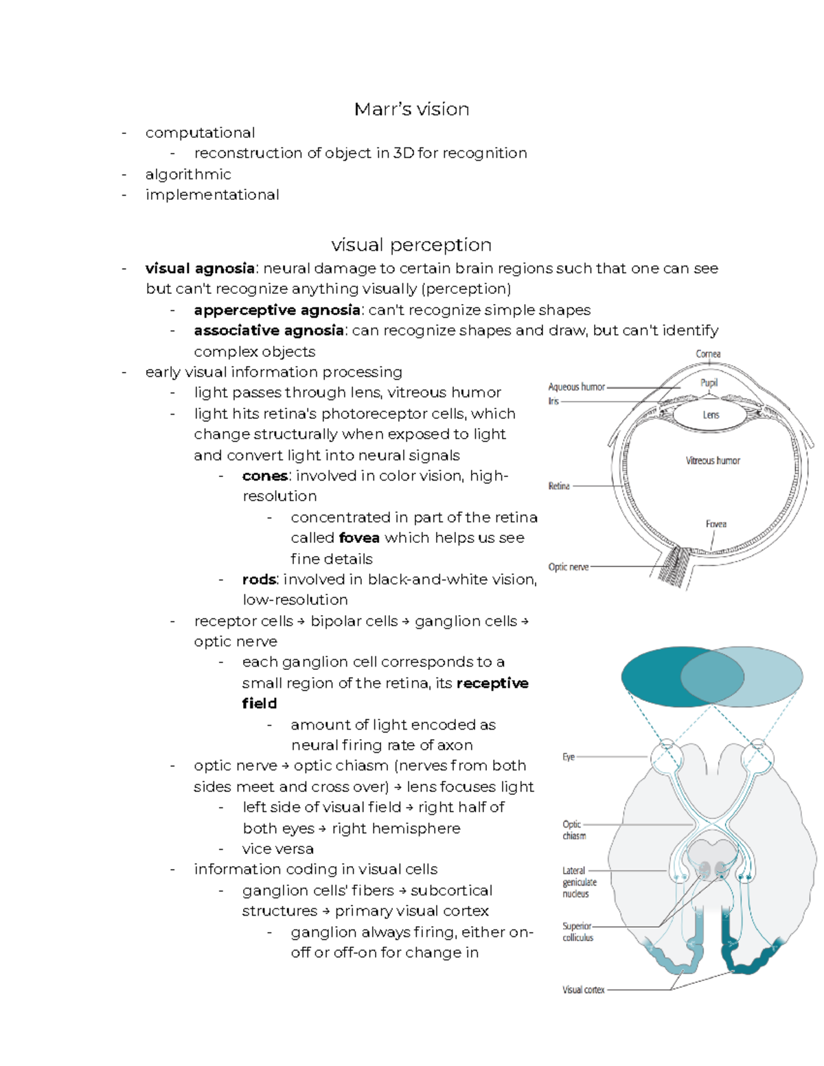 Perception Vision (A2 p. 27-43) - Marr’s vision - computational ...
