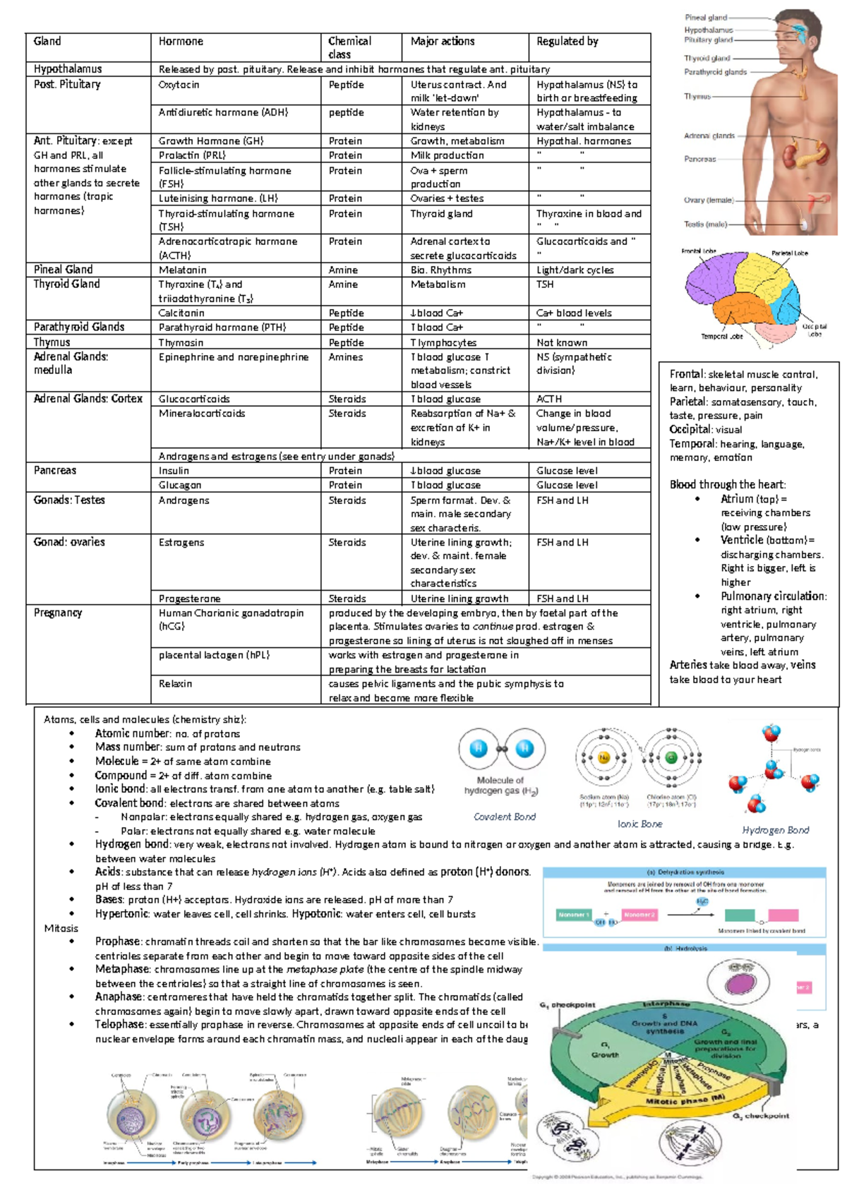 Cheat Sheet EOS Exam - Atoms, cells and molecules (chemistry shiz): Atomic number: no. of ...