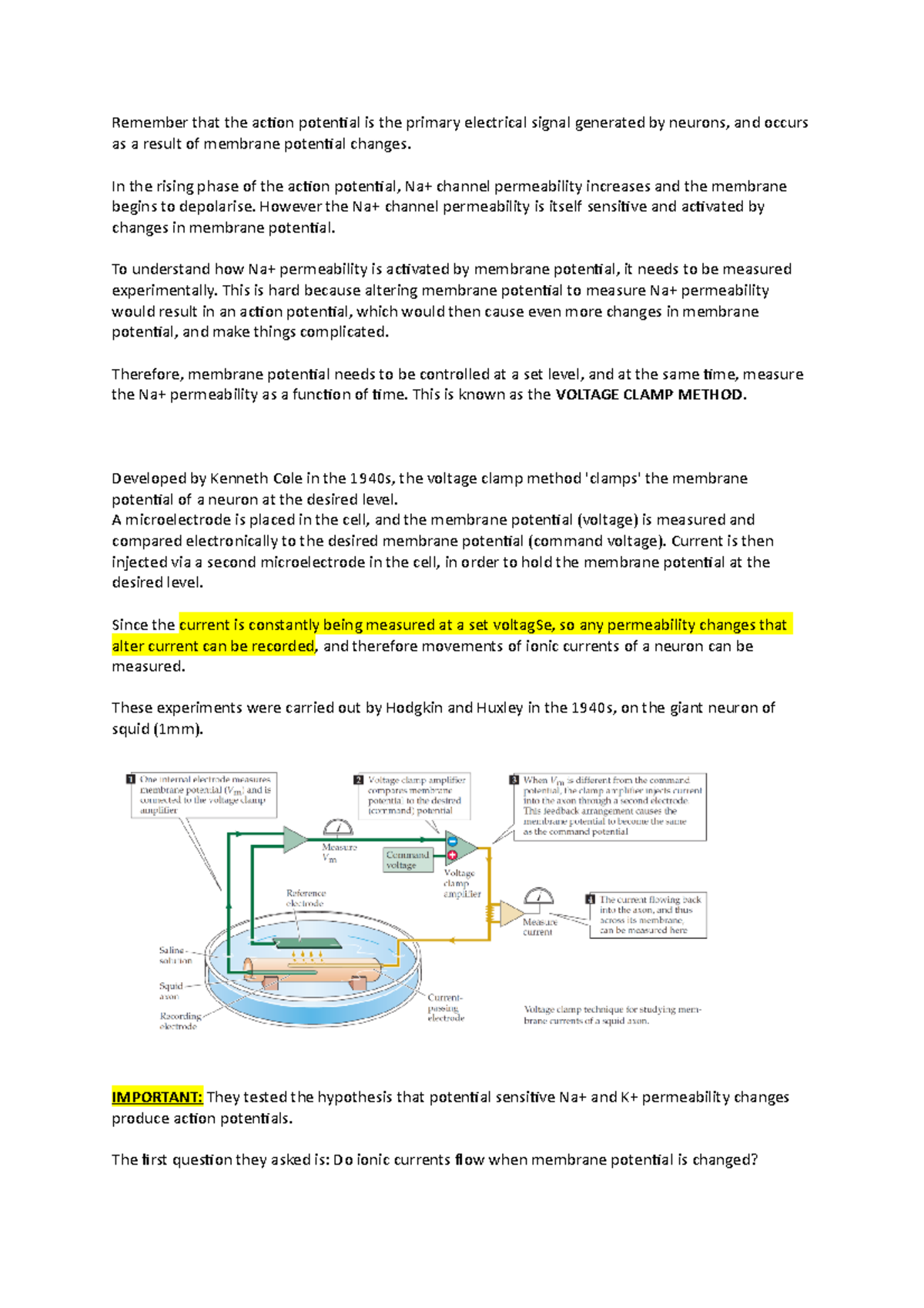 Action potential - Fully detailed exam study notes, annotations from ...