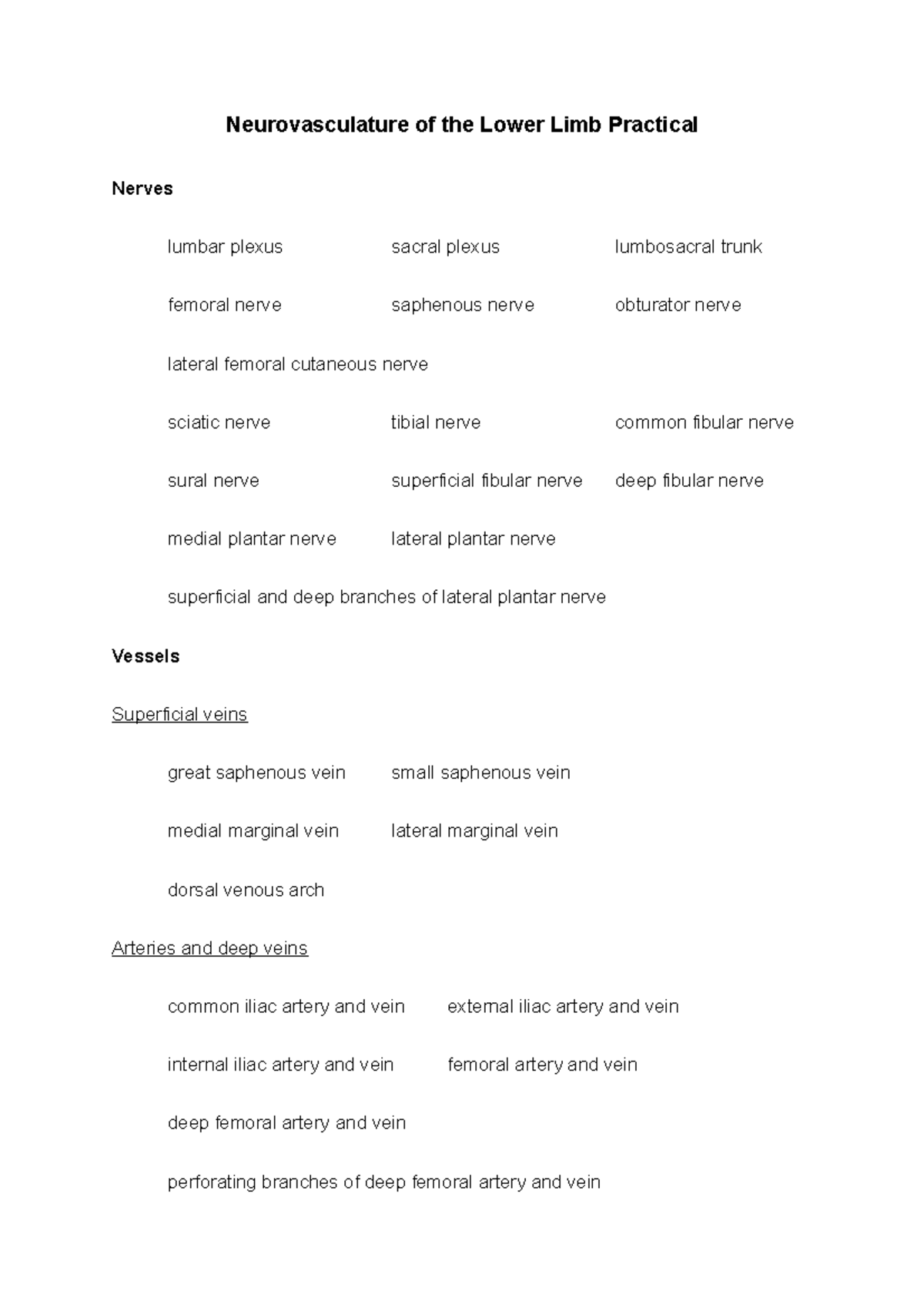 Neurovasculature of the lower limb practical list updated 2022 ...