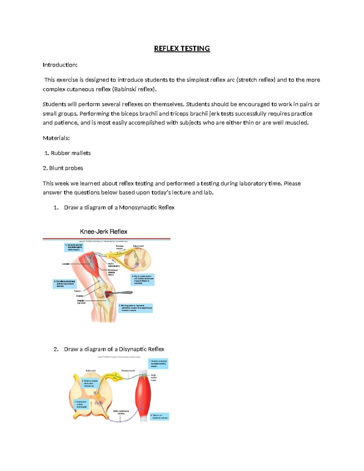 Phys Reflex Testing - phys - REFLEX TESTING Introduction: This exercise ...