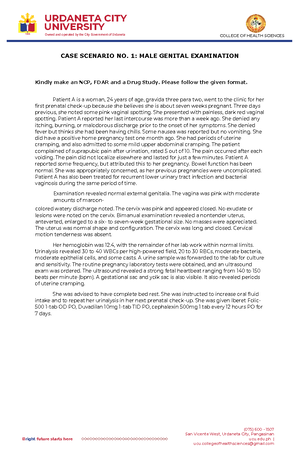 IRR of RA 11313 Safe Spaces Act - THE IMPLEMENTING RULES AND ...