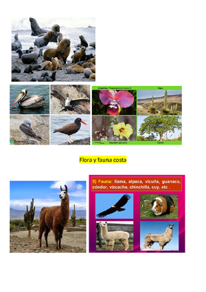 Aventuras Matemáticas Sumas y Restas para Niños portaleducativo 10 ...