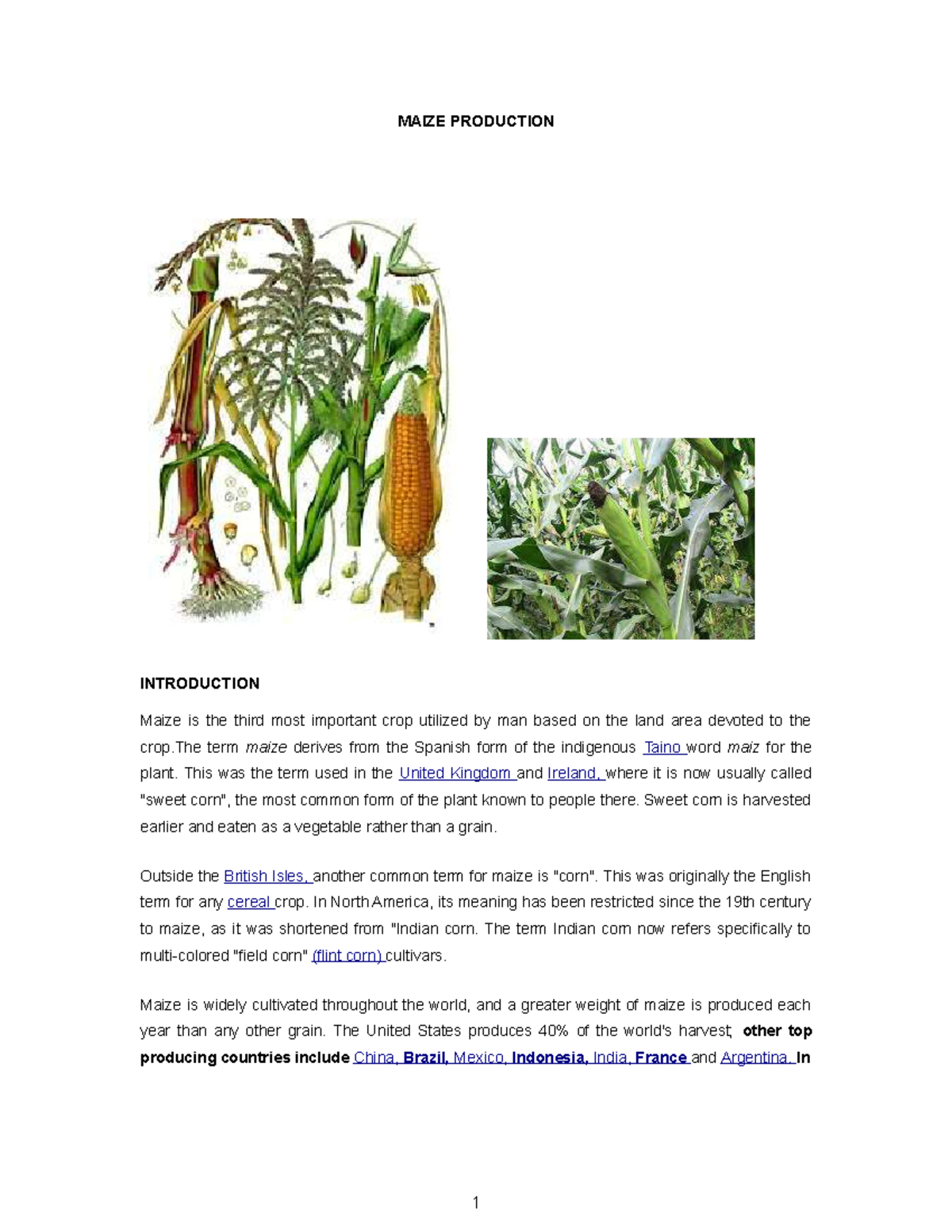 Maize Production - MAIZE PRODUCTION INTRODUCTION Maize is the third ...