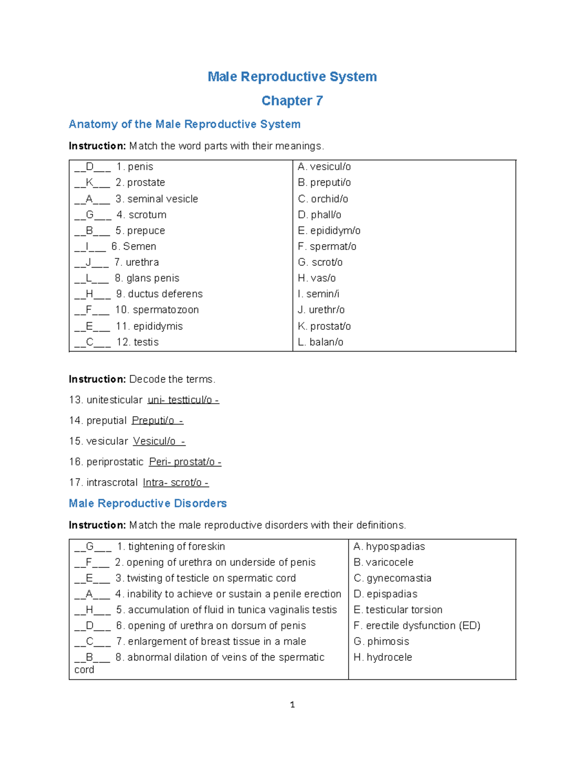 Kimberly's Chapt 7&8 - easy - Male Reproductive System Chapter 7 ...