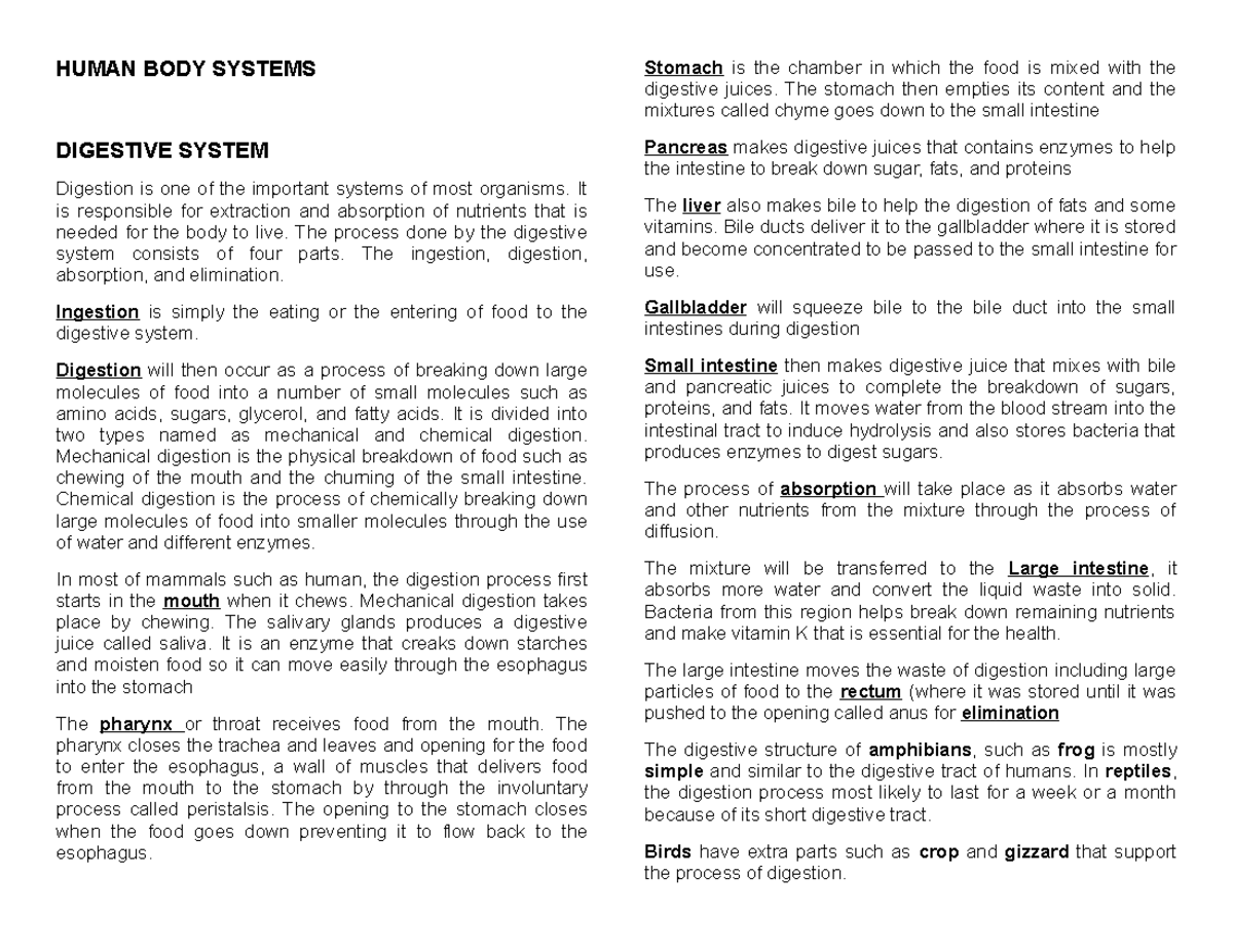 Summary of the human body systems anatomy - HUMAN BODY SYSTEMS ...