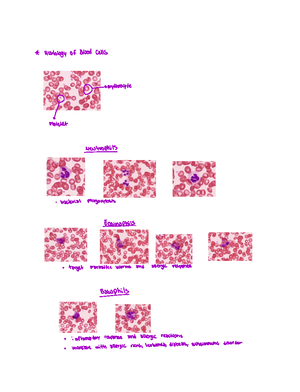 Lab 6 wrap up - Complete summary of lab 6 with extra study materials ...