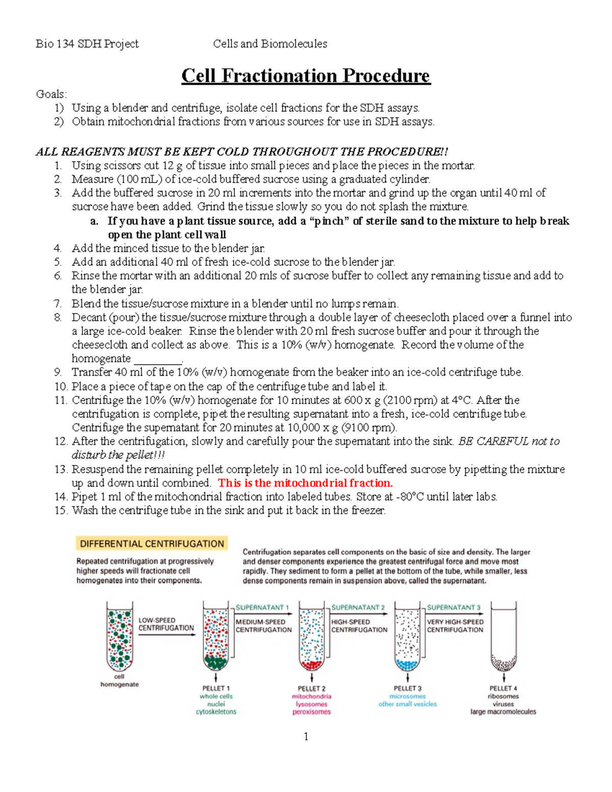Bio 134 Cell Fractionation Protocol Fa2022 - Bio 134 SDH Project Cells ...