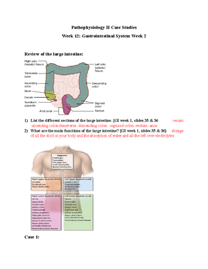 Patho II Week 9 case studies (neuro) - Pathophysiology II - Week 9 Case ...