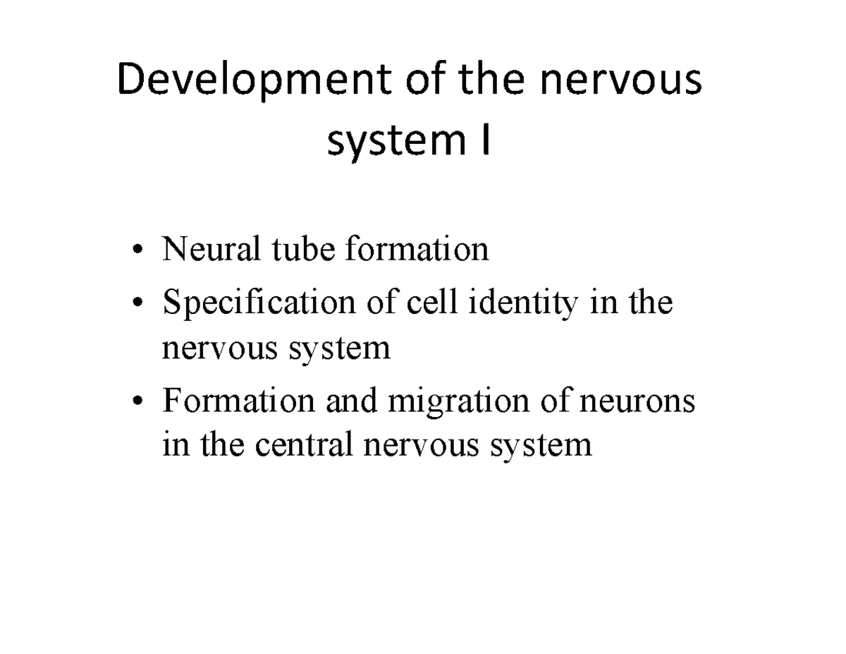 Development of the nervous system I.March 13th - Development of the ...