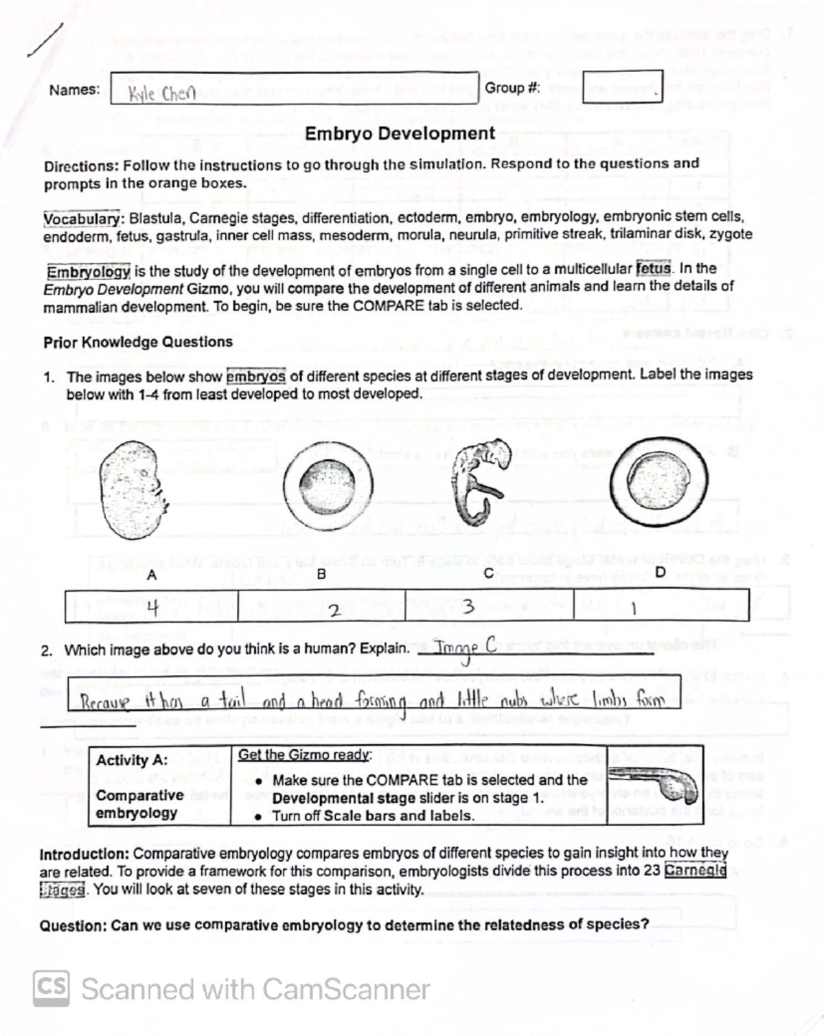 Embryonic Development Gizmos - Studocu