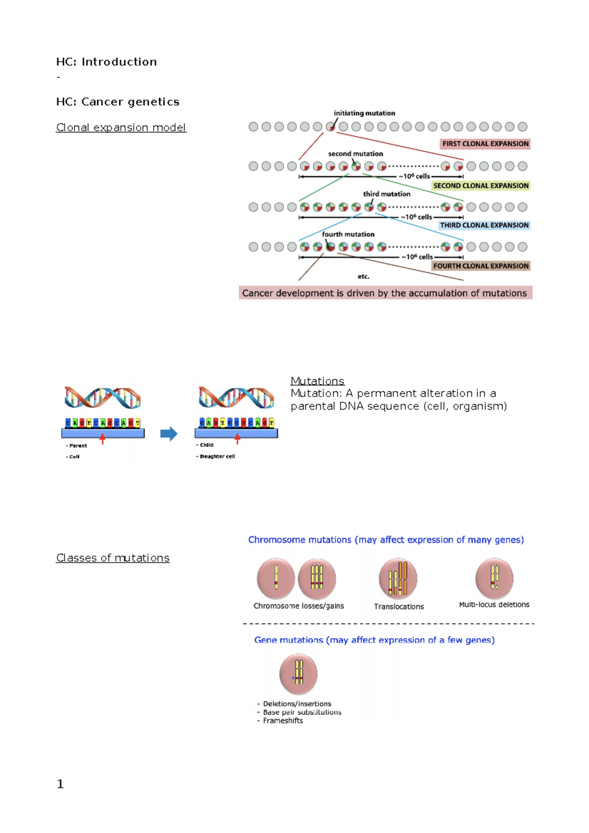 BLOK Mechanisms of Disease 2 G2 def - HC: Introduction - HC: Cancer ...