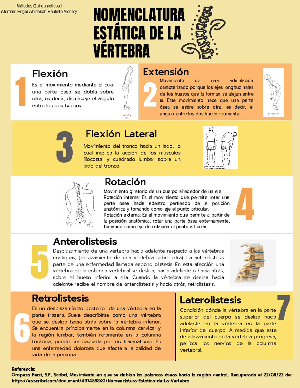 Nomenclatura estática de la vértebral - Retrolistesis NOMENCLATURA ...