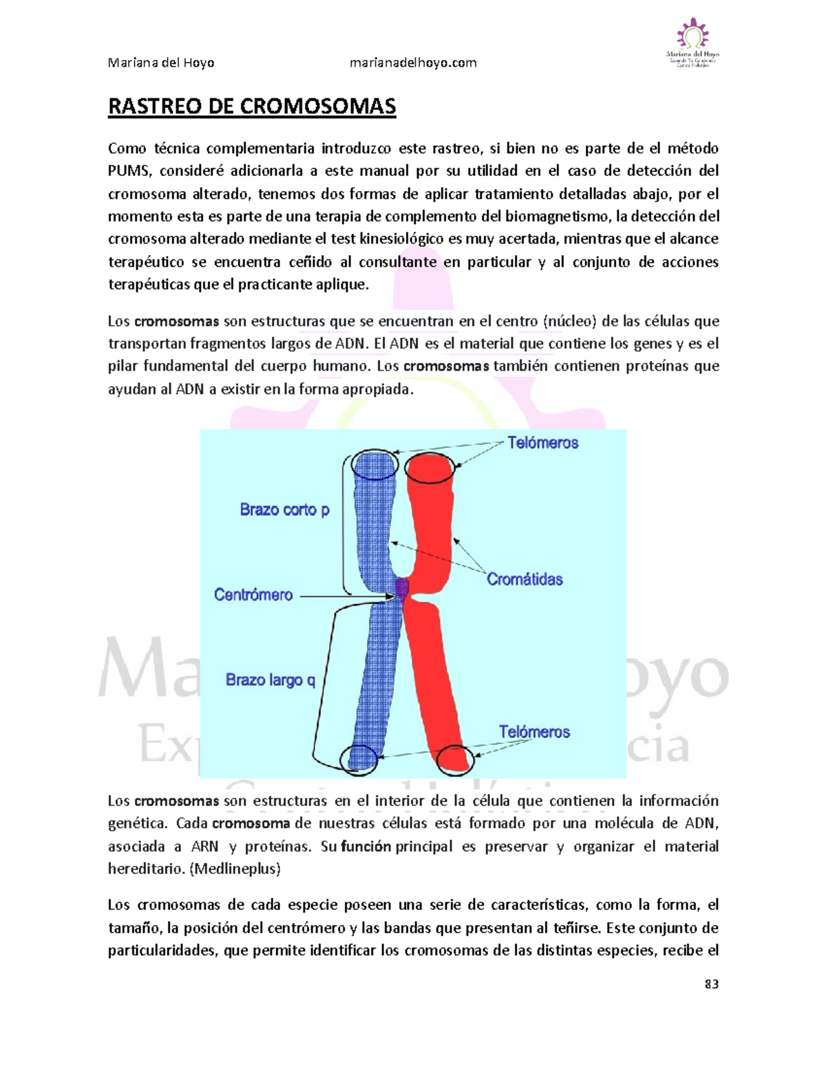 Rastreo Columna Vertebral - RASTREO DE CROMOSOMAS Como técnica ...