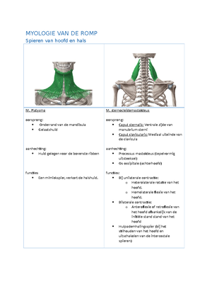 Anatomie - Anatomie Algemene begrippen Bij de anatomische houding ...