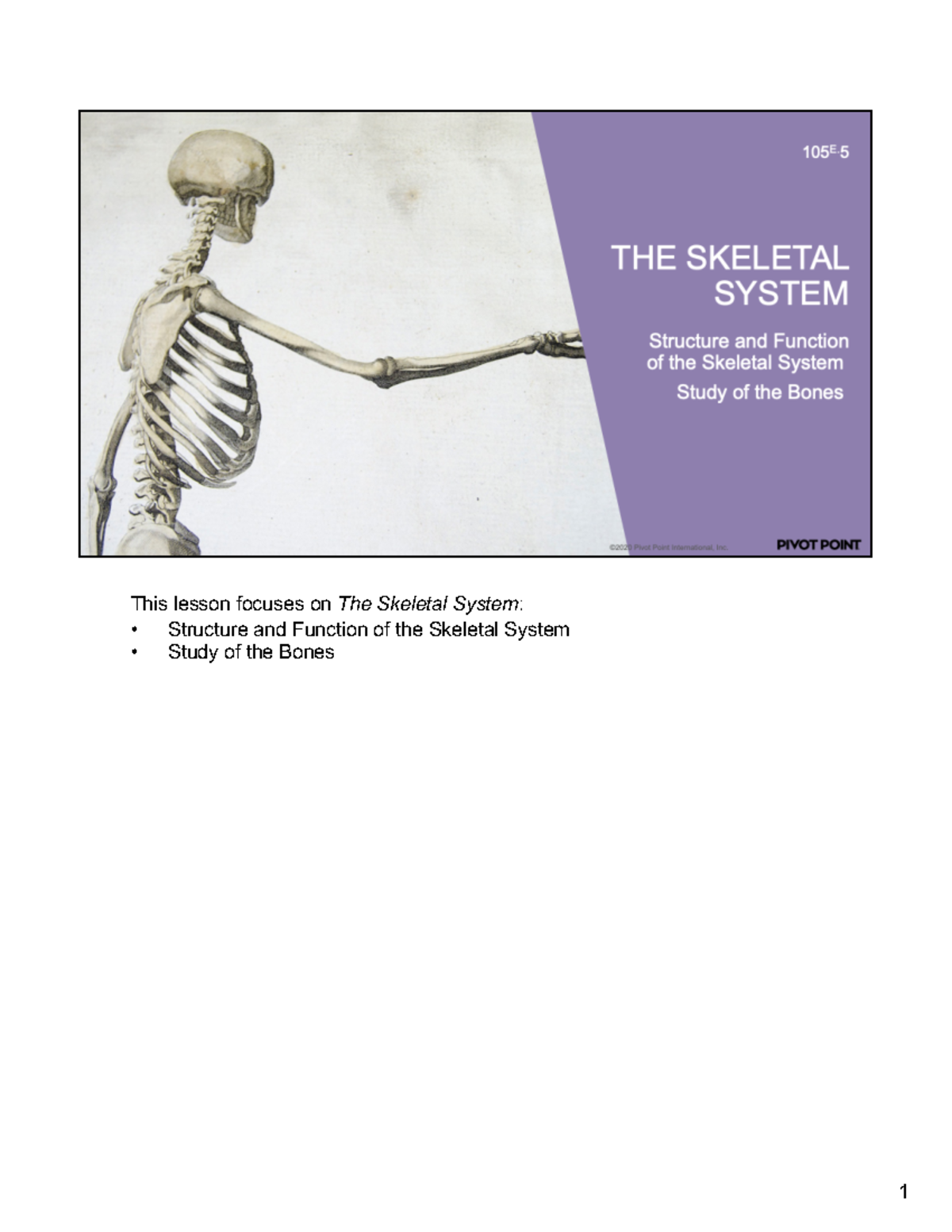 105E 05 Study Slides - This lesson focuses on The Skeletal System ...
