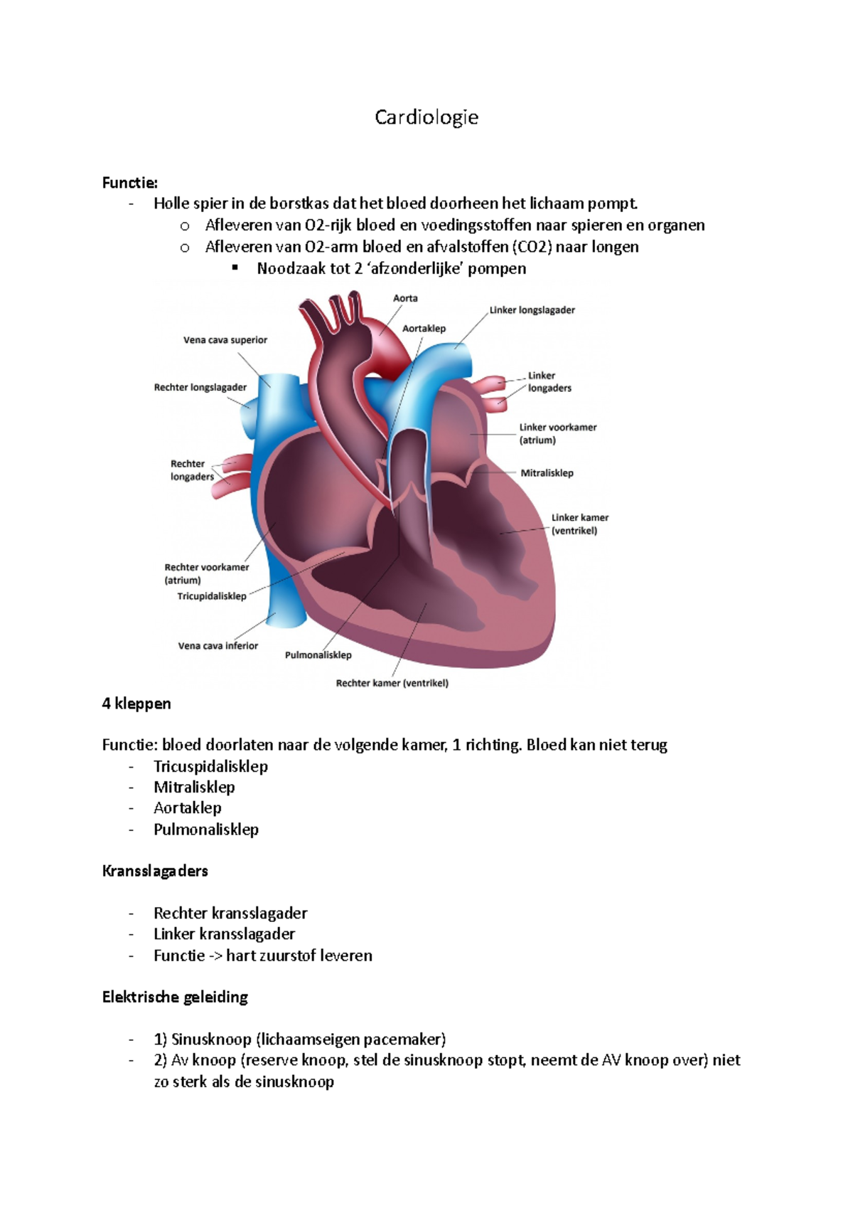 Cardiologie - kz2 - Cardiologie Functie: - Holle spier in de borstkas ...