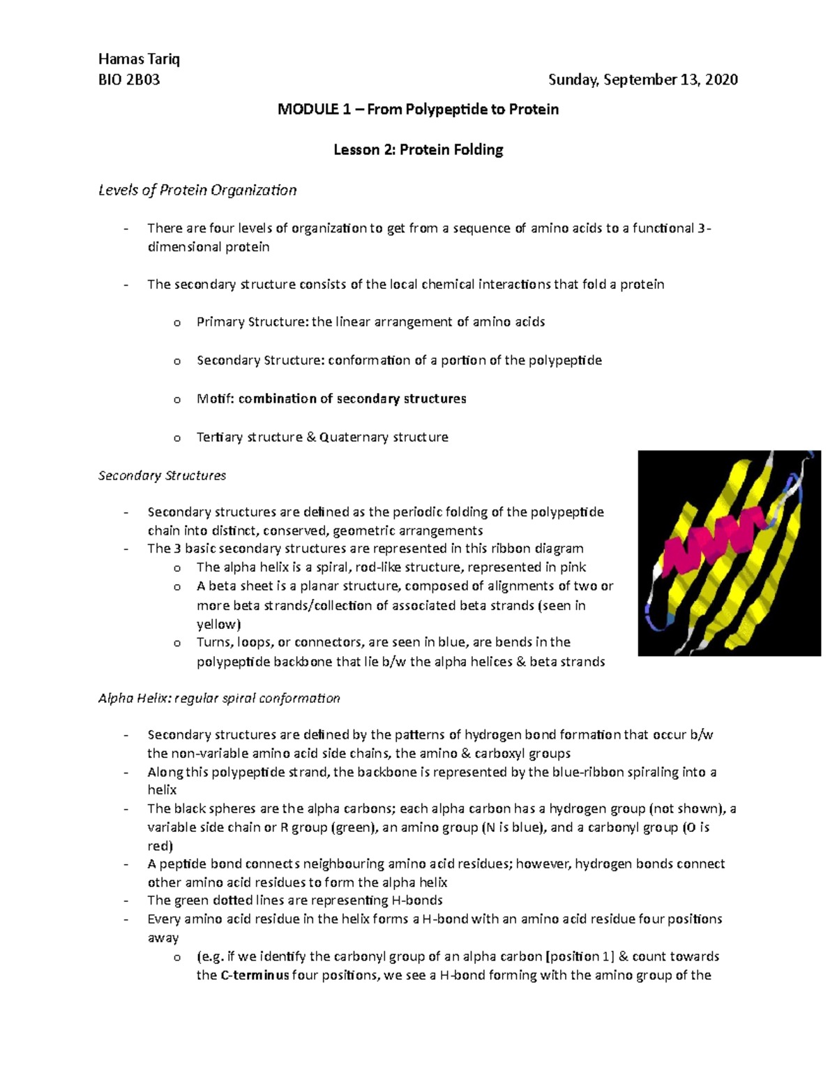 M1L2 - Protein Folding - Hamas Tariq BIO 2B03 Sunday, September 13 ...