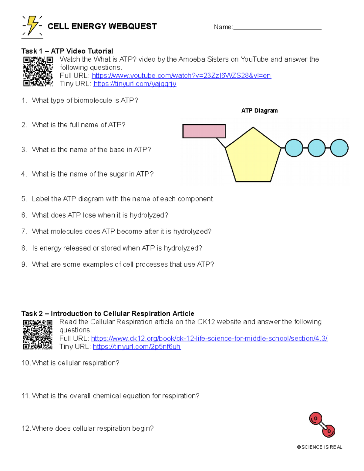 Handout for Cell Energy Webquest - CELL ENERGY WEBQUEST Name: Task 1 ...