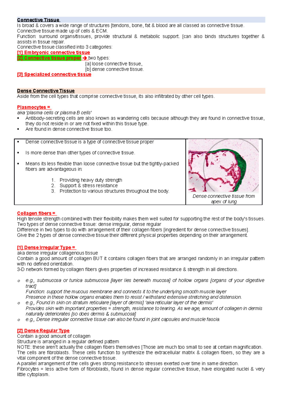 5. Dense Connective Tissue [histology] junqueria textbook - Connective ...