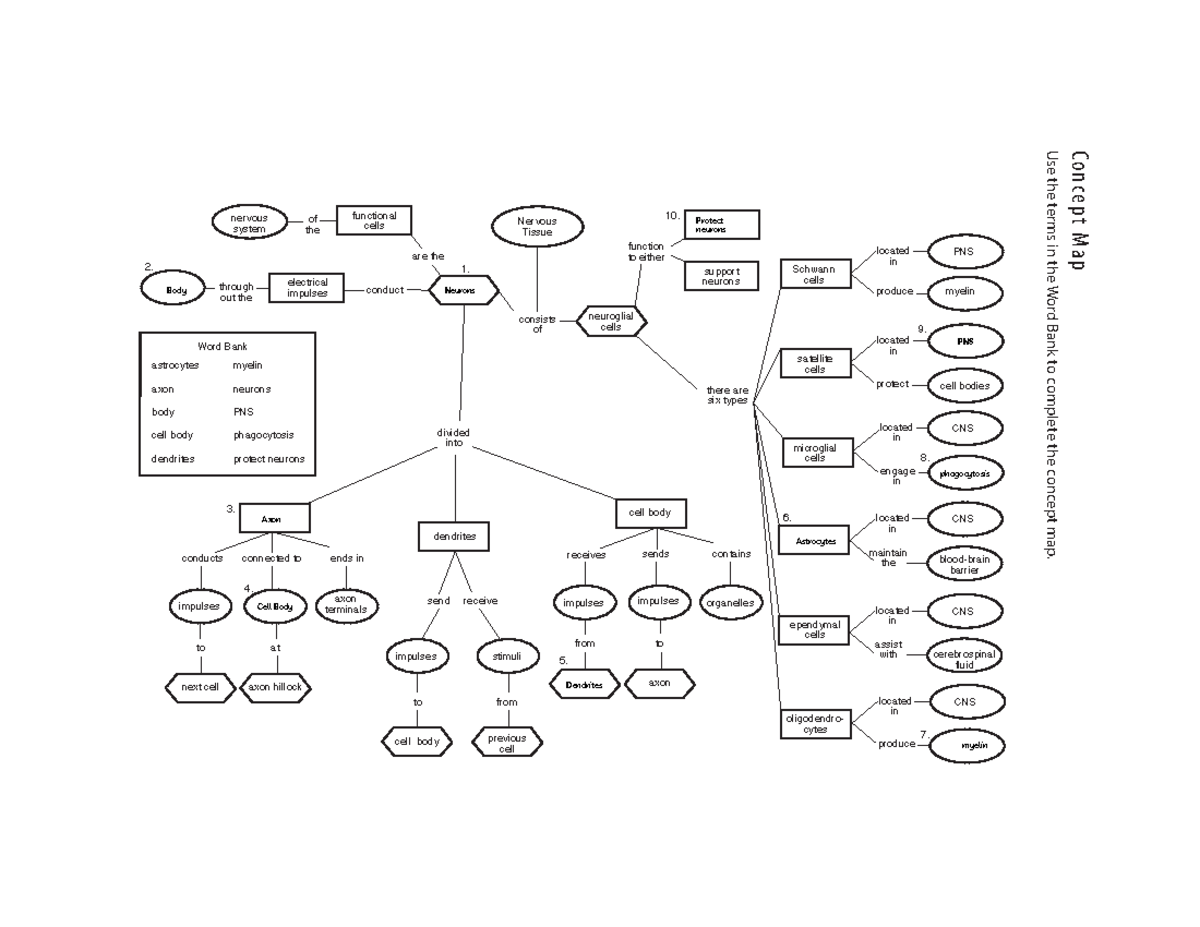 Chapter%2012 %20-%20Concept%20Map - Concept m ap Use the terms in the ...
