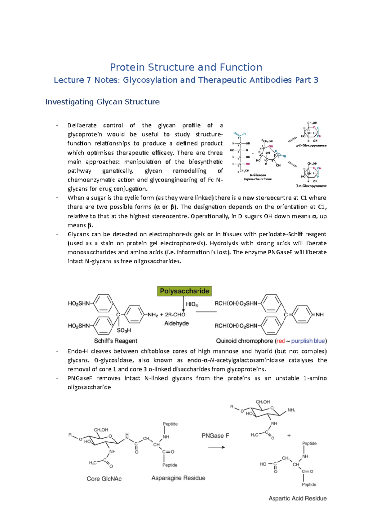 Lecture 7 Notes (Glycosylation and Therapeutic Antibodies Part 3 ...
