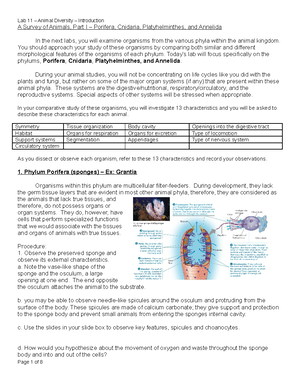 Lab 7 Protists - its an lap report - Protist Identification and Observation Objectives: Discuss ...