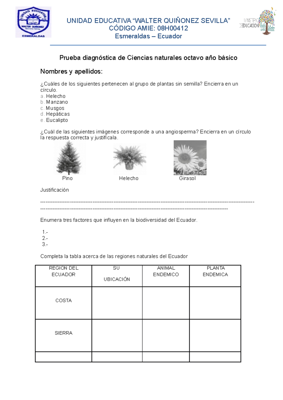 Prueba diagnostica 8vo-9no. - CÓDIGO AMIE: 08H Esmeraldas – Ecuador ...