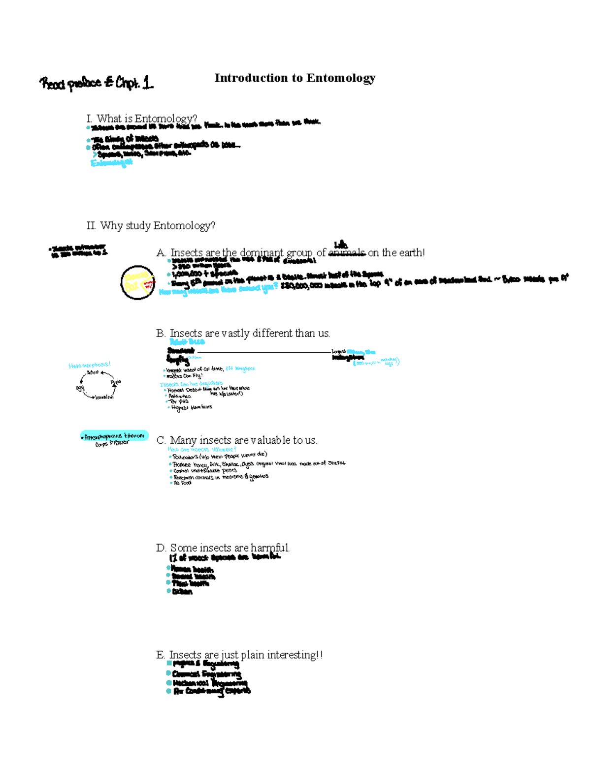 Intro To Entomology 8 19 - Introduction to Entomology I. What is ...