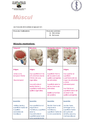 Resumen traquea cervical - TRÁQUEA CERVICAL Trachea (del gr. trachys ...